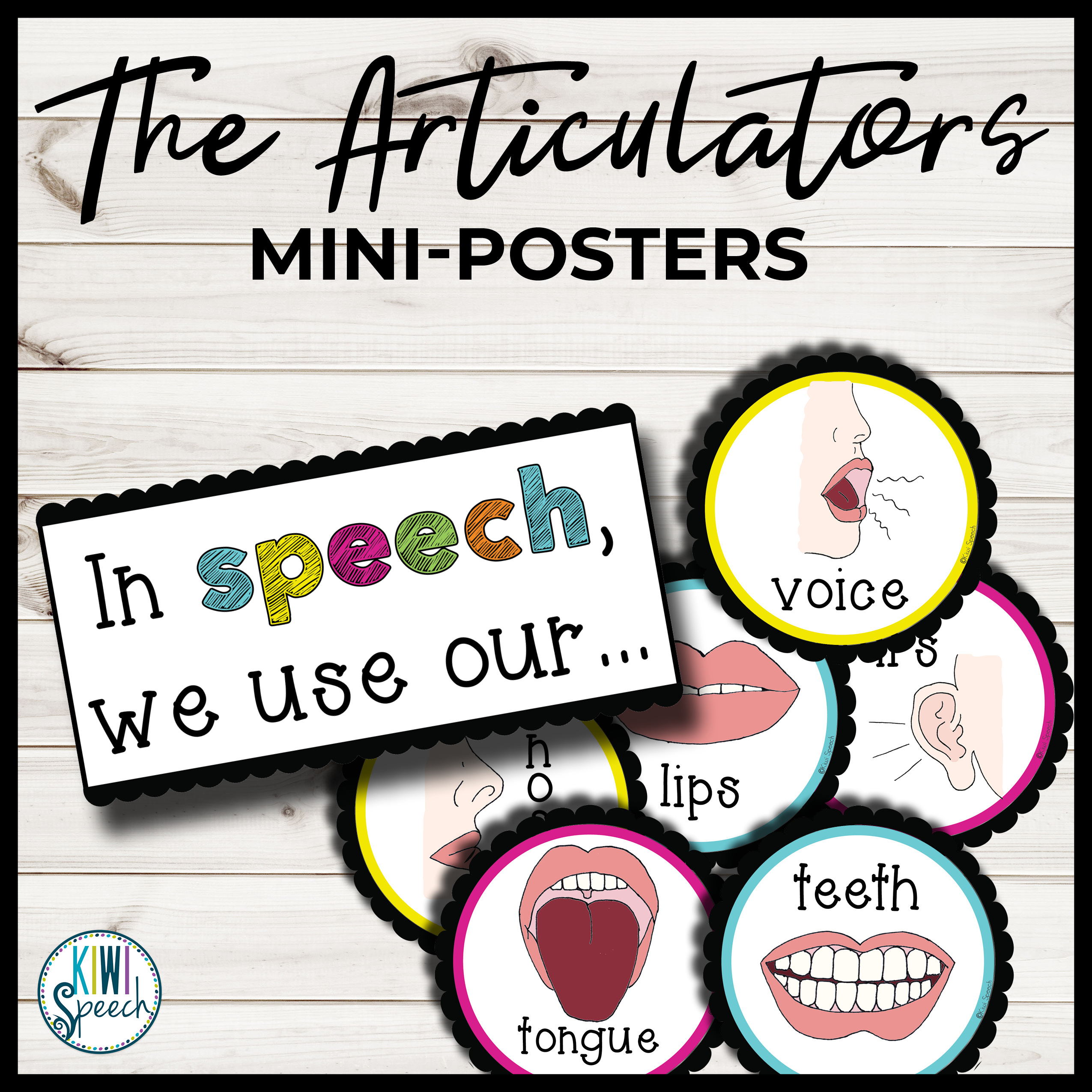 The Articulators Visual Aid Posters - Functional Speech Therapy Room ...