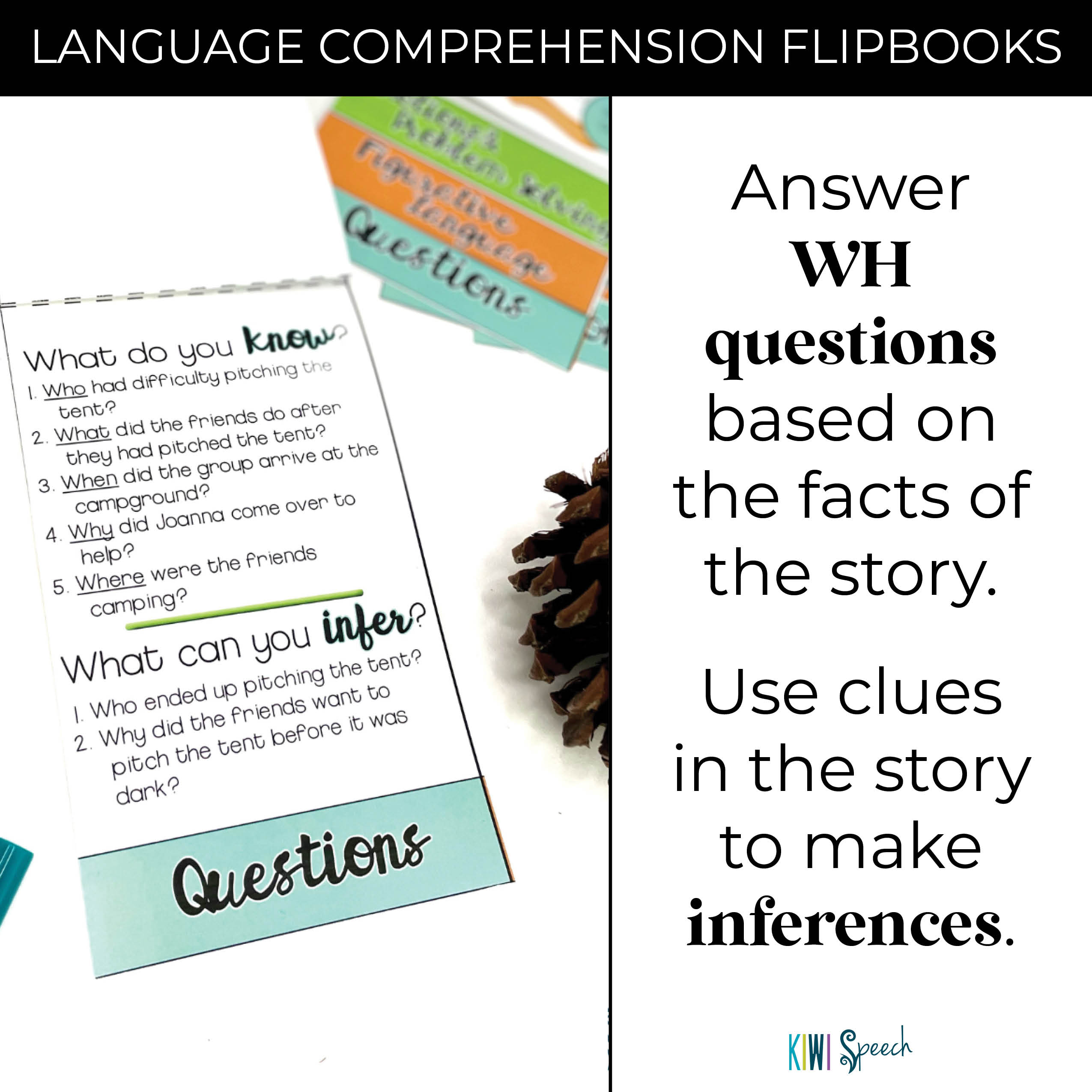 Summer / Outdoors Language Passages for Vocabulary, Idioms, and ...